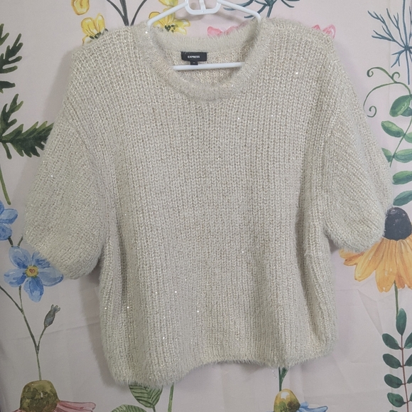 Express | Sweaters | Nwt Express Sparkling Cream Crew Neck Sweater ...